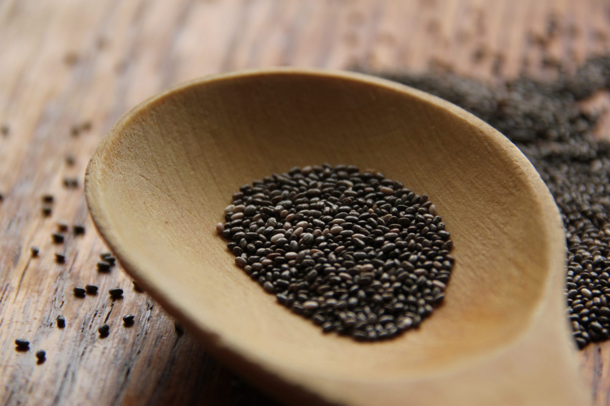 Tipos de semillas que existen para sembrar - Agroptima